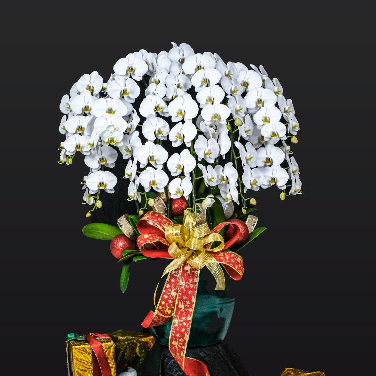 Christmas Flower, Christmas Gift, Corporate Gift, Flower Studio